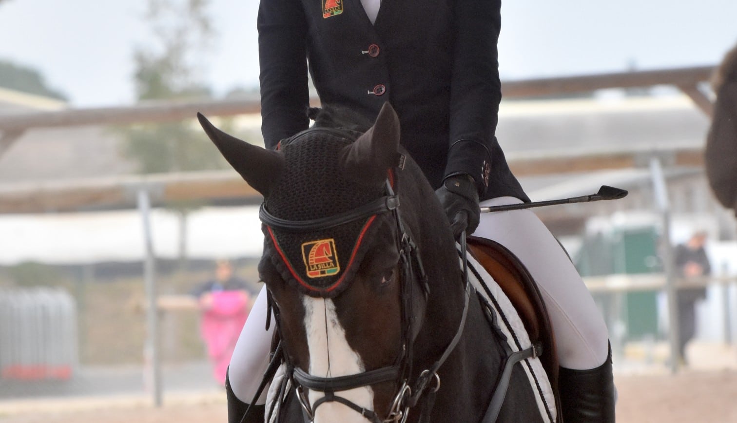 Horse Pilot, synonyme de performance! • Horse Pilot • Vêtements ...