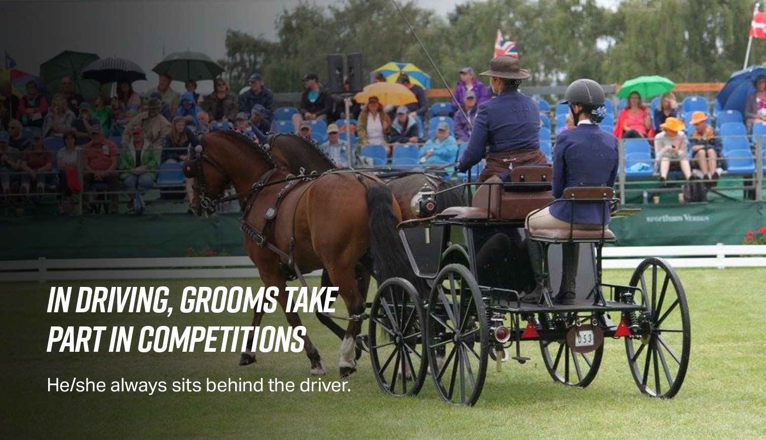 Who we are at Horse Pilot? - Equestrian apparel