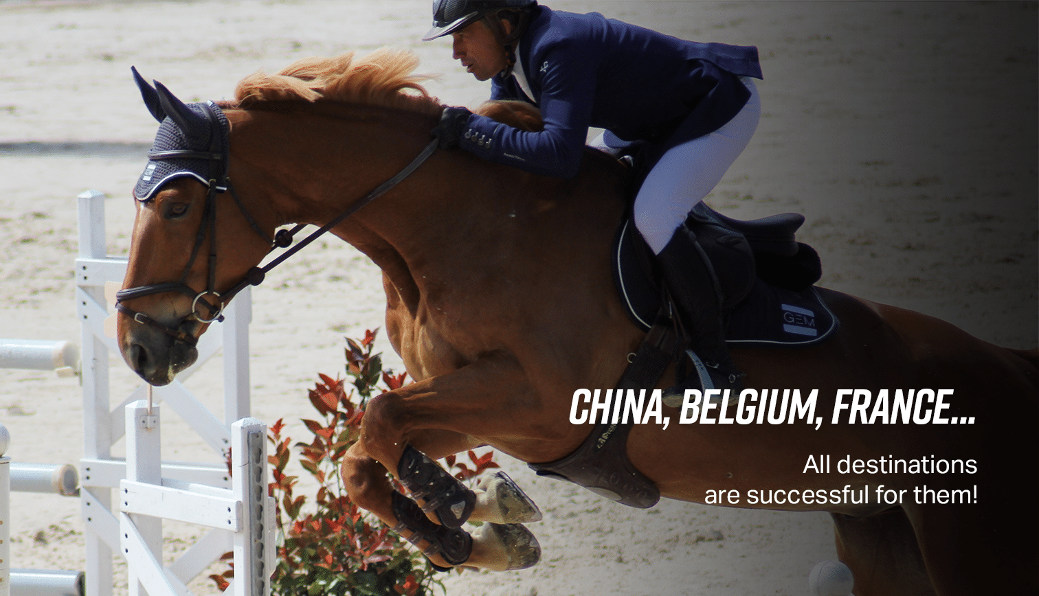 Collection of Horse Pilot performances ! • Horse Pilot • Technical ...